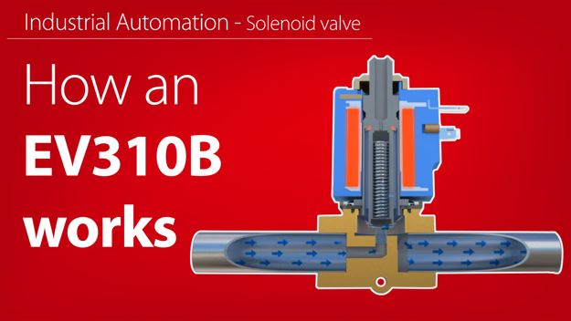 Lift Check Valve Animation