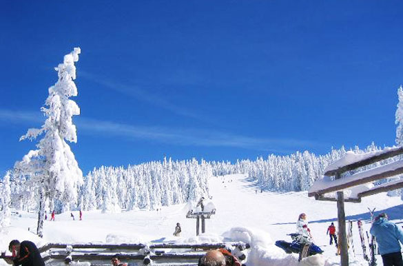 Heating facility reconstruction in Kopaonik mountain resort, Kopaonik ...