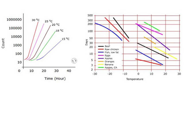 Cold storage rooms - what you need to know about refrigeration – part 1 ...