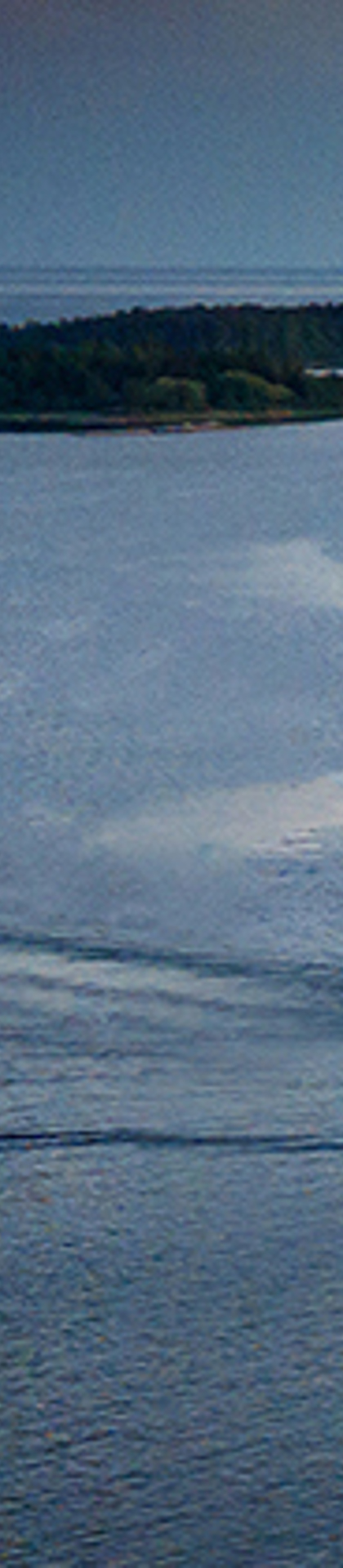 丹佛斯 iC7 系列为 Wasaline 混合电动 RoPax 渡轮提供动力 | Danfoss