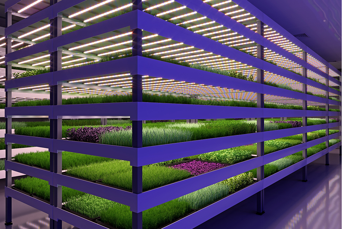 Vertical Farming solutions | Danfoss