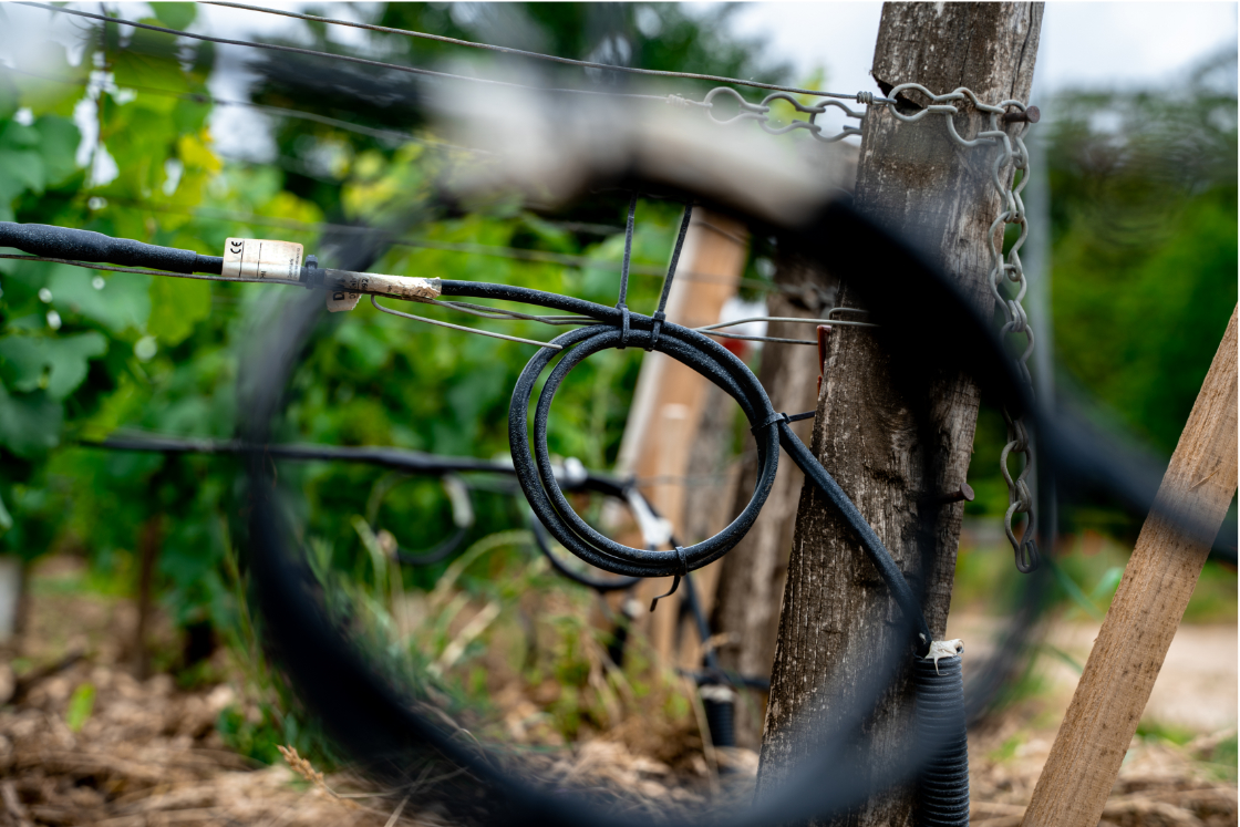 Vineyard frost protection in Chablis, France | Danfoss